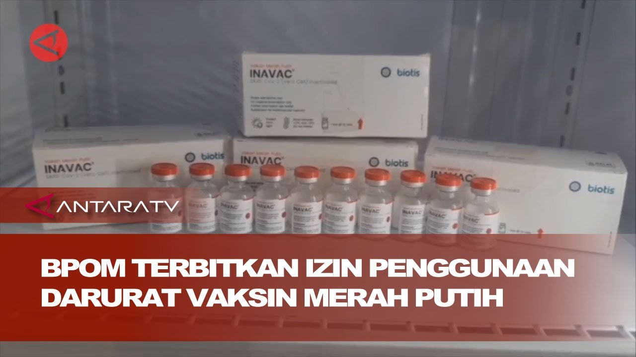 BPOM terbitkan izin penggunaan darurat Vaksin Merah Putih