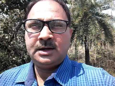 What is Egoistic Suicide.?