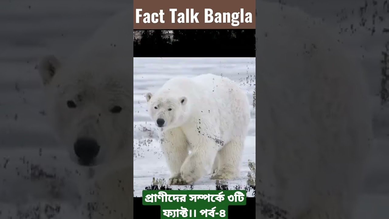 E0%A6%AA%E0%A7%8D%E0%A6%B0%