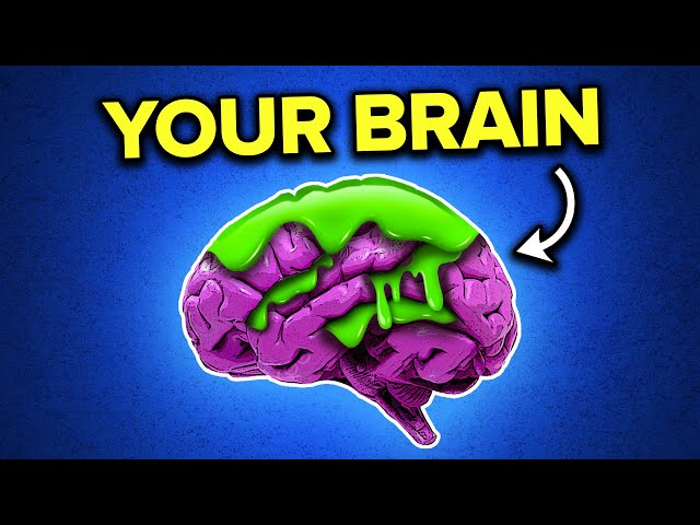 Understanding and Overcoming Brain Rot: A Guide to Mental Clarity | Galaxy