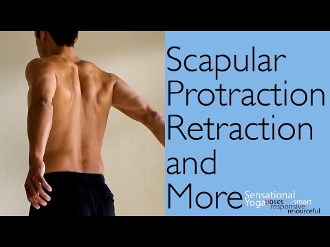 Exercises for Improving Scapular Protraction, Retraction and More