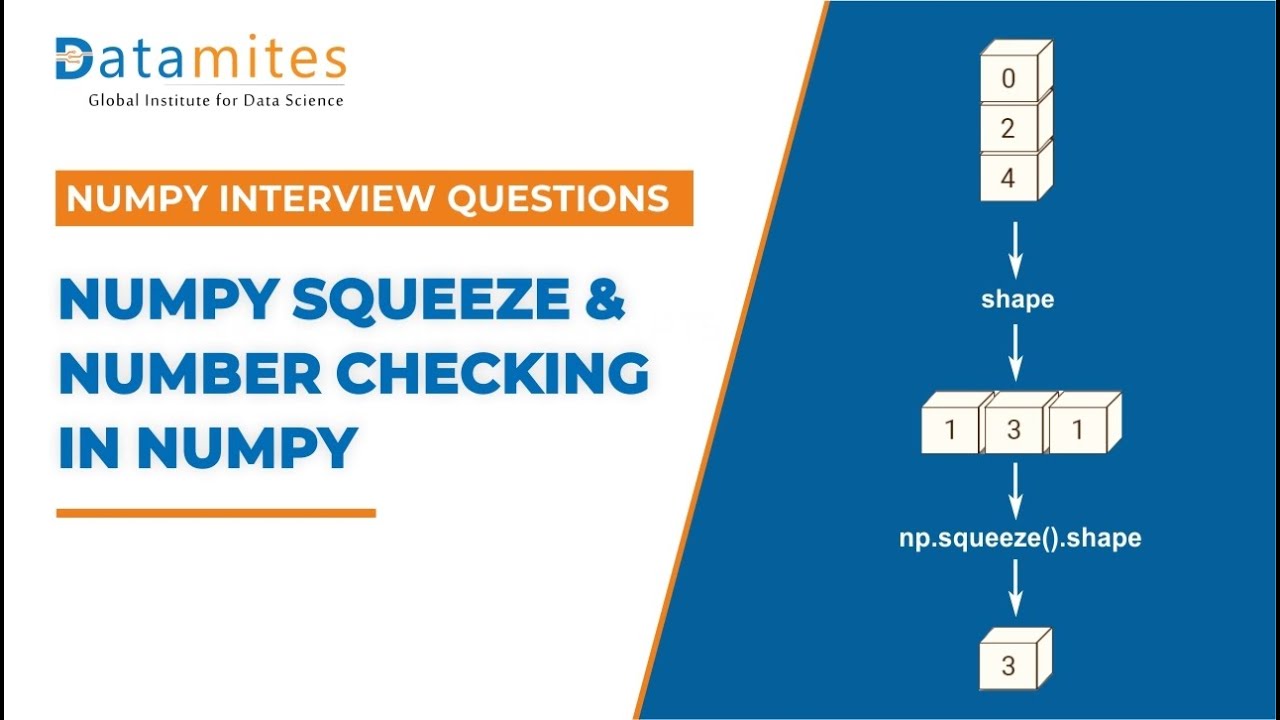 Numpy Squeeze function in Python | Numpy Python Tutorial