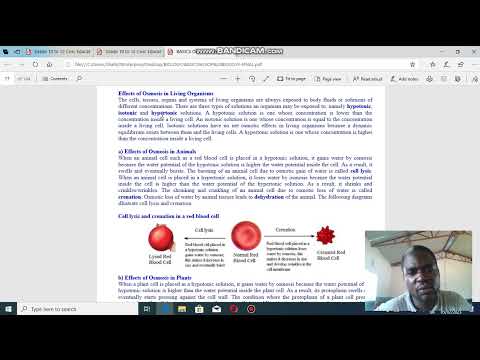 Effects of Osmosis in animal cells
