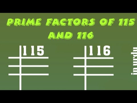 Prime Factors of 115 and 116 - Prime Factorization
