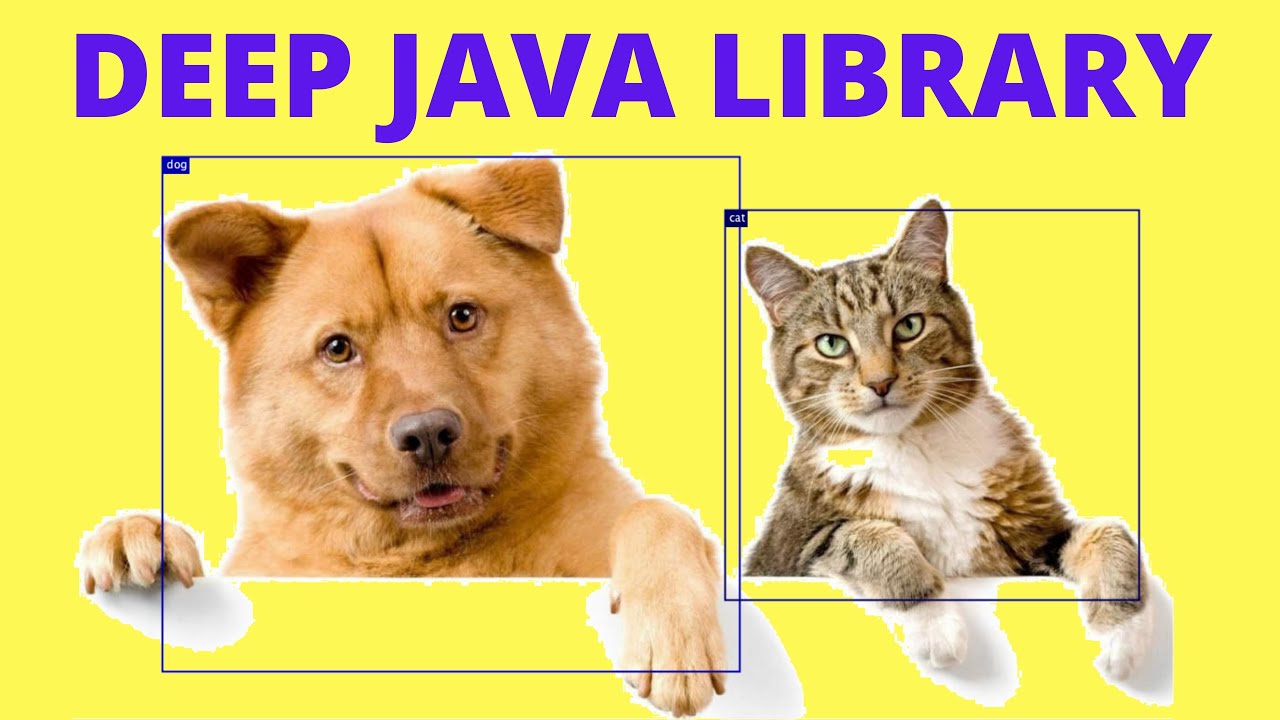 DEEP JAVA LIBRARY EXPLAIN | AMAZON | EXAMPLE JAVA CODE DOG CAT | DEEP LEARNING CODE | InterviewDOT