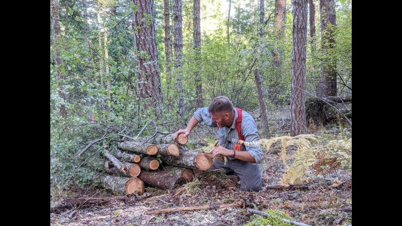 Forest Restoration | Fireside Chat | March 2024