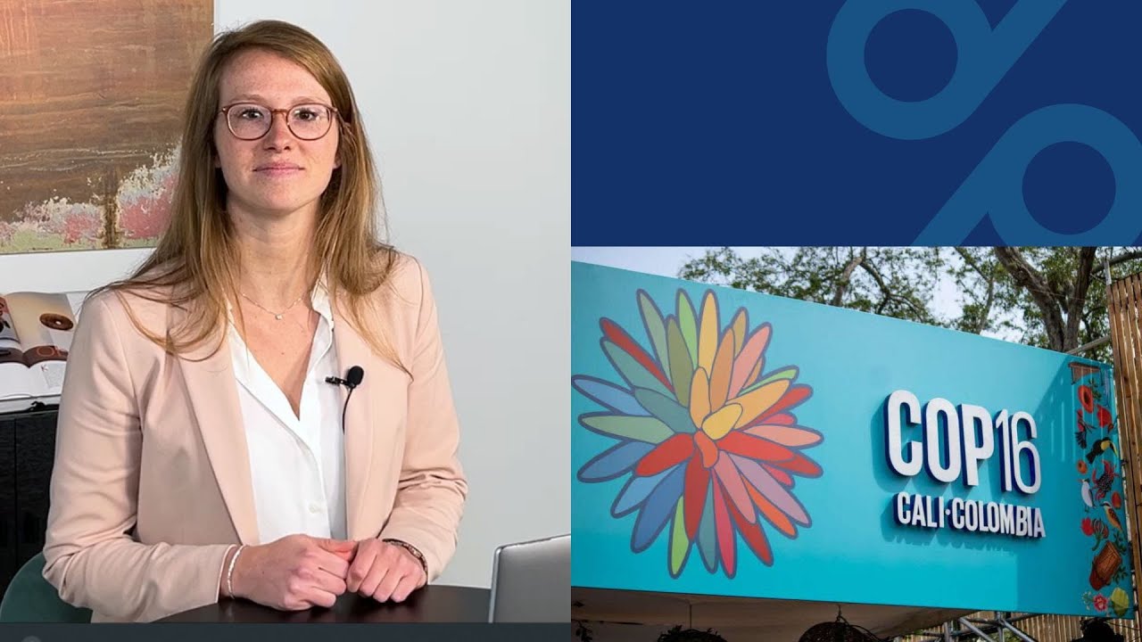 COP16: what progress has been made?