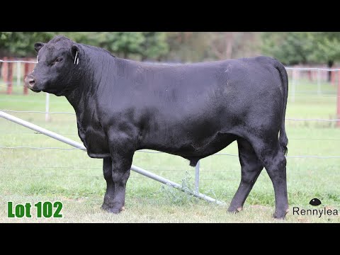 Lot 102 Rennylea NOR22T1432
