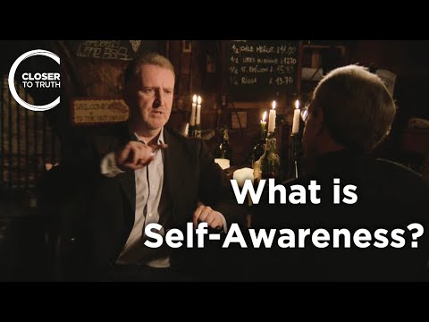 Barry Smith - What is Self-Awareness?