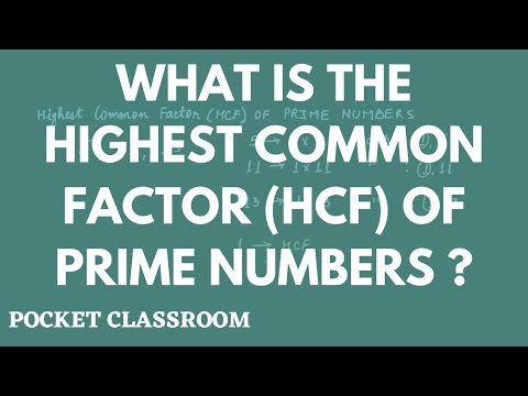 What is the Highest Common Factor of Prime Numbers? || Grade 6