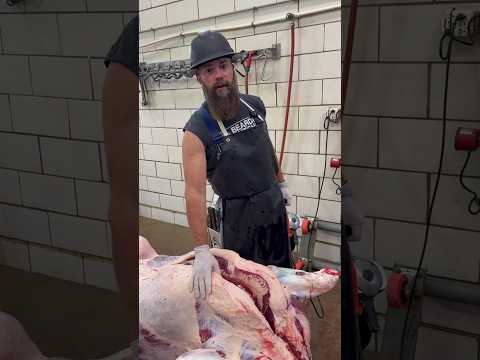 Want to know where brisket comes from on a beef carcass? ๐ช๐ฎ #shorts #beef #brisket #bbq