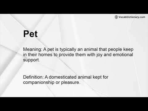 Pet Meaning