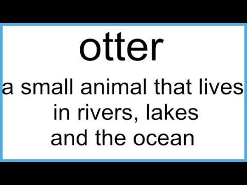 otter meaning | Vocabulary for Kids | Children's Dictionary | Learn English Vocabulary