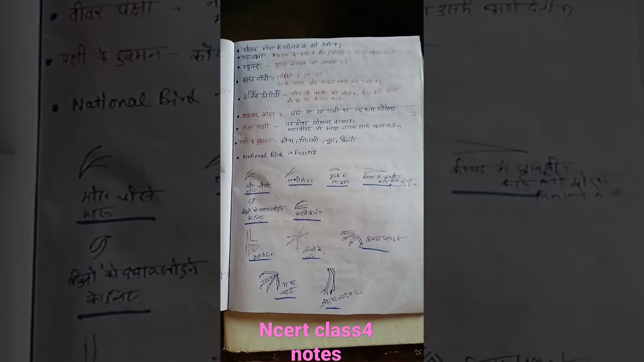 class 4 ncert notes