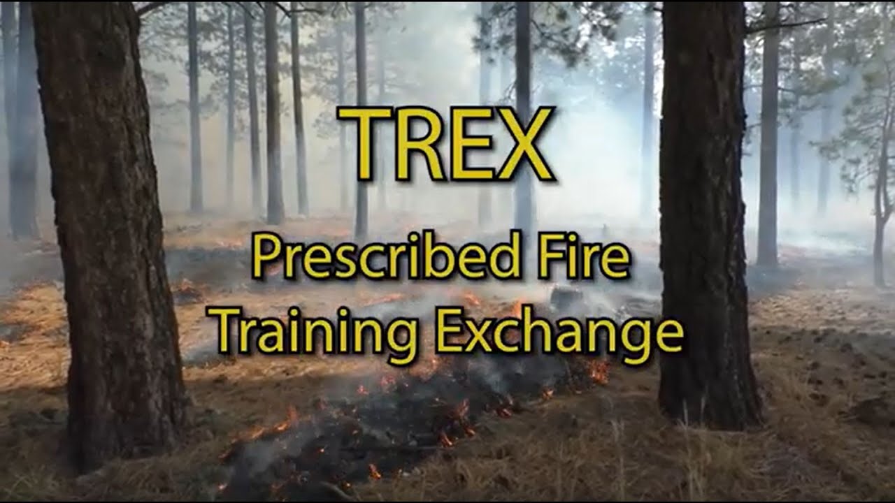 Prescribed Fire Training Exchange (TREX)