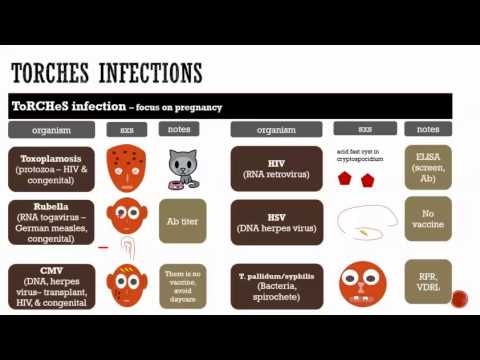 ToRCHeS infections