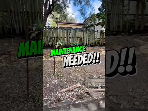 Inside a Brisbane, Australia Unit Complex | SHOCKING State of a Wealthy Suburb #shorts #vlog #viral
