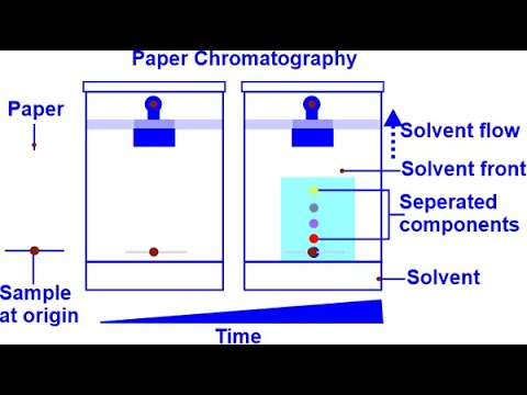 Paper Chromatography and its principle