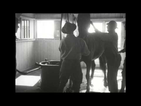 Miscellaneous Quartermaster Activities in the U.S.A.