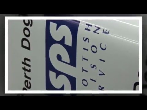 4D Signs