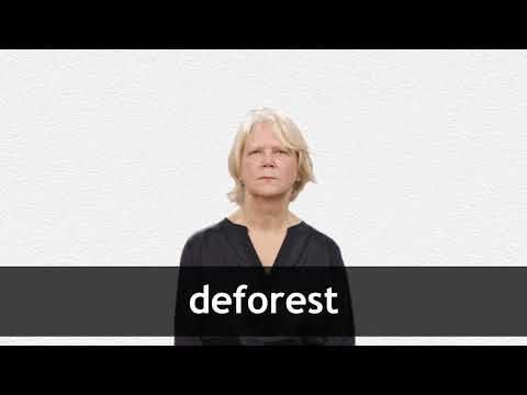 DEFOREST definition and meaning | Collins English Dictionary
