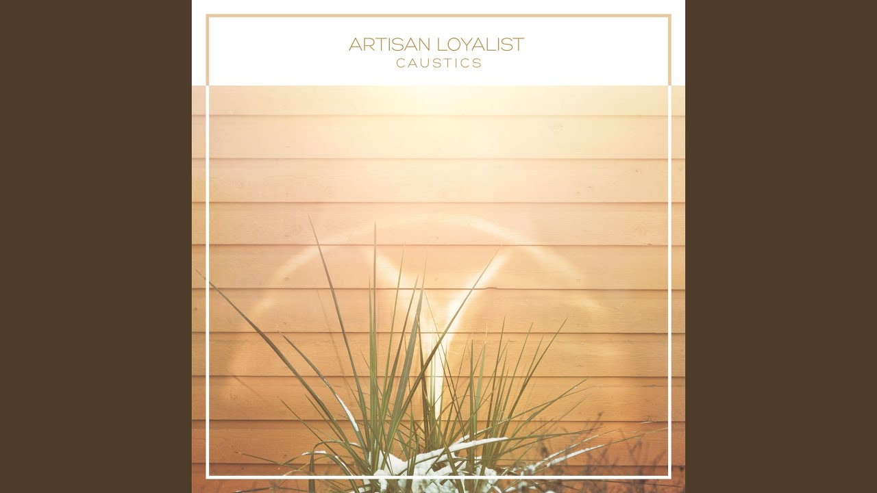 Diffuse Transmission