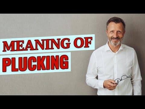 Plucking | Definition of plucking π π π