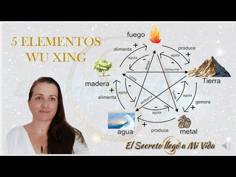 ✨Los 5 Elementos Wu Xing