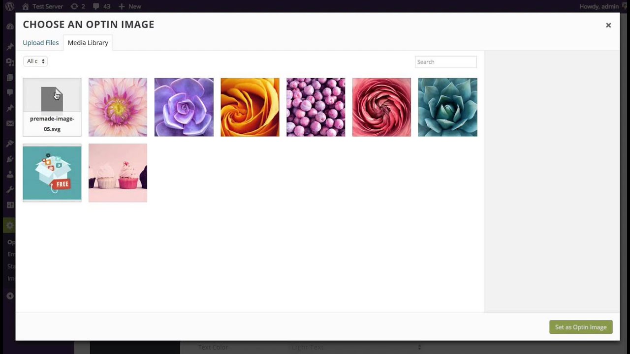 How To Use The Bloom Design Settings