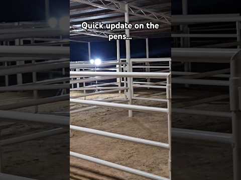 Quick unedited update of the pens..... #ranchlife #encinal #webbcounty #sherwinwilliamspaint
