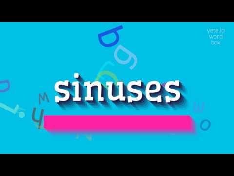 SINUSES - How to say Sinuses?