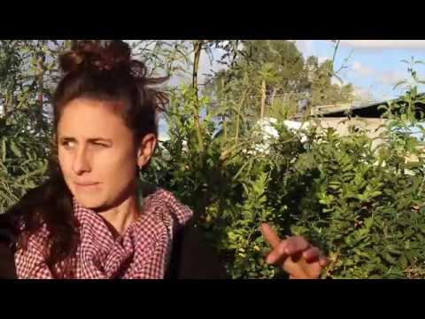 Watershed Management Group Gray Water and Water Conservation