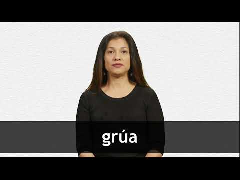English Translation of “GRÚA” | Collins Spanish-English Dictionary