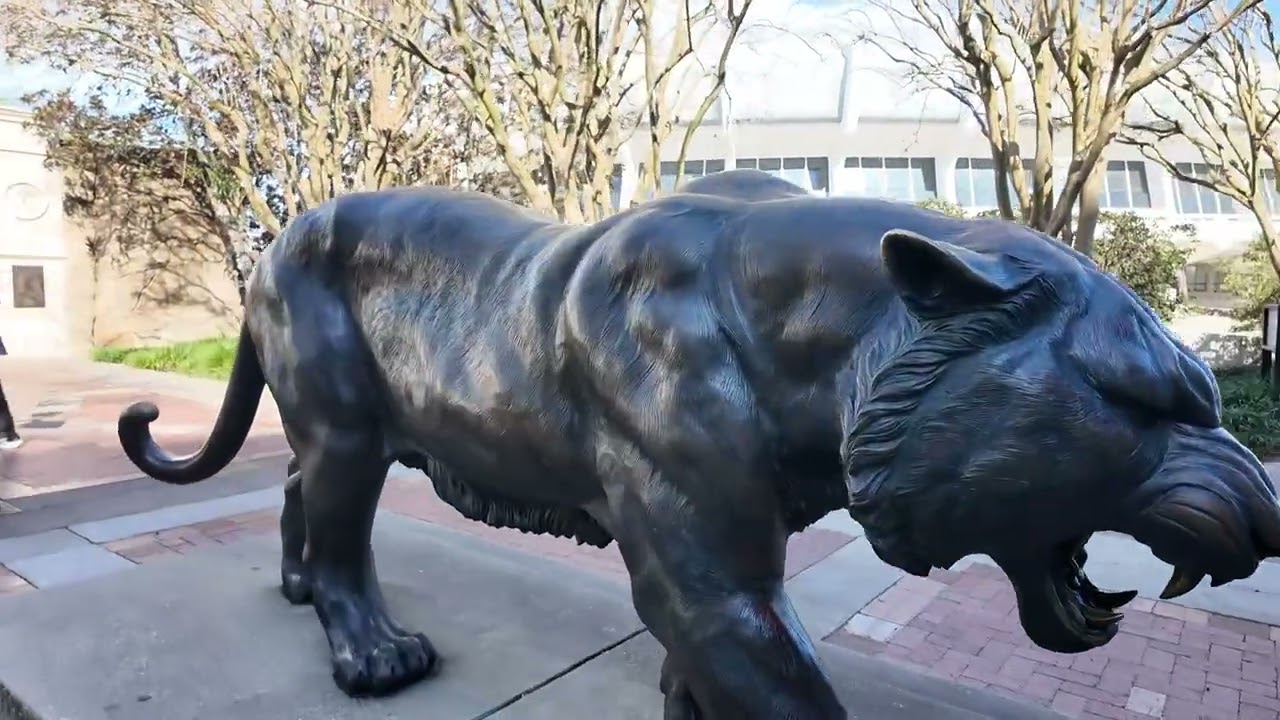 Spring 2026 Welcome Video