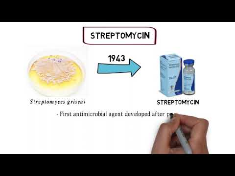 Streptomycin Injection at Best Price in India