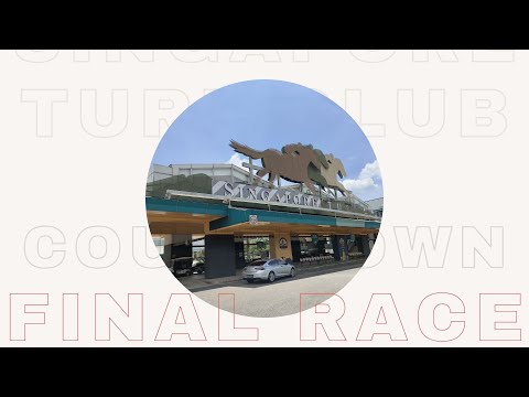 Countdown To 100th Grand Singapore Gold Cup 2024 Singapore Turf Club Historic Final Race 5th Oct 24