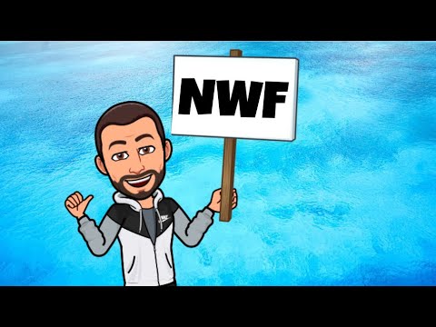 Nonsense Words Fluency | Nonsense Words to Sound Out | NWF (1)