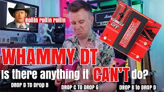 DigiTech Whammy DT - What To Know & Where To Buy | Equipboard DigiTech Whammy DT - What To Know & Where To Buy | Equipboard