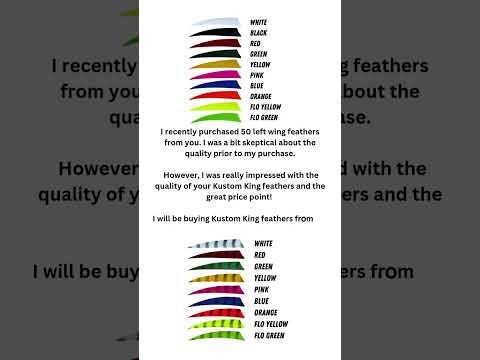 Feathers Feedback