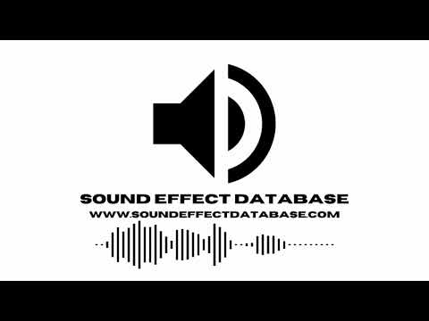 Howler Monkey Calling Sound Effect