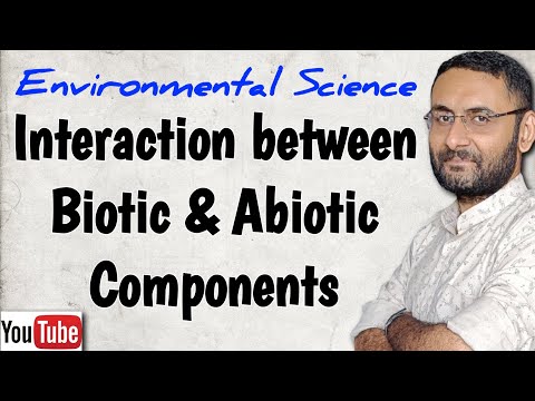 Biotic and Abiotic components of Environment | Relation | Environmental Science Studies | EVS