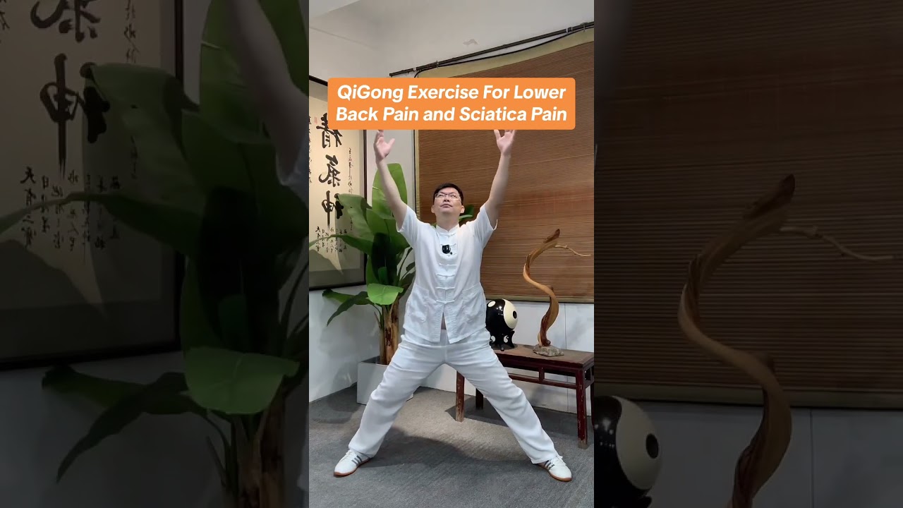 QiGong movement for relieve Lower back pain and sciatica pain #lowerbackpain #sciatica #exercisetips