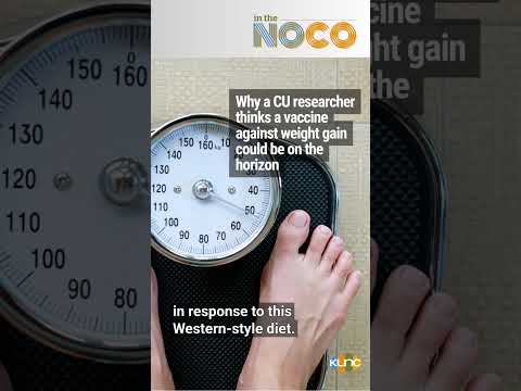 ITN: Weight Gain Vaccine