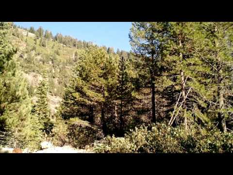 235 Alpine Meadows Rd., Apt. #301 Tahoe City, CA
