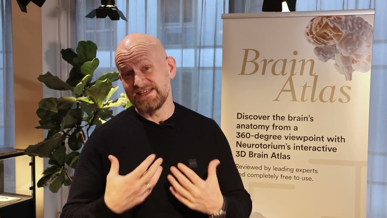 Sagittal View of the Brain - Neurotorium