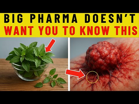 The #1 Herb That Actually Kills CANCER — Why Is This Being Hidden?