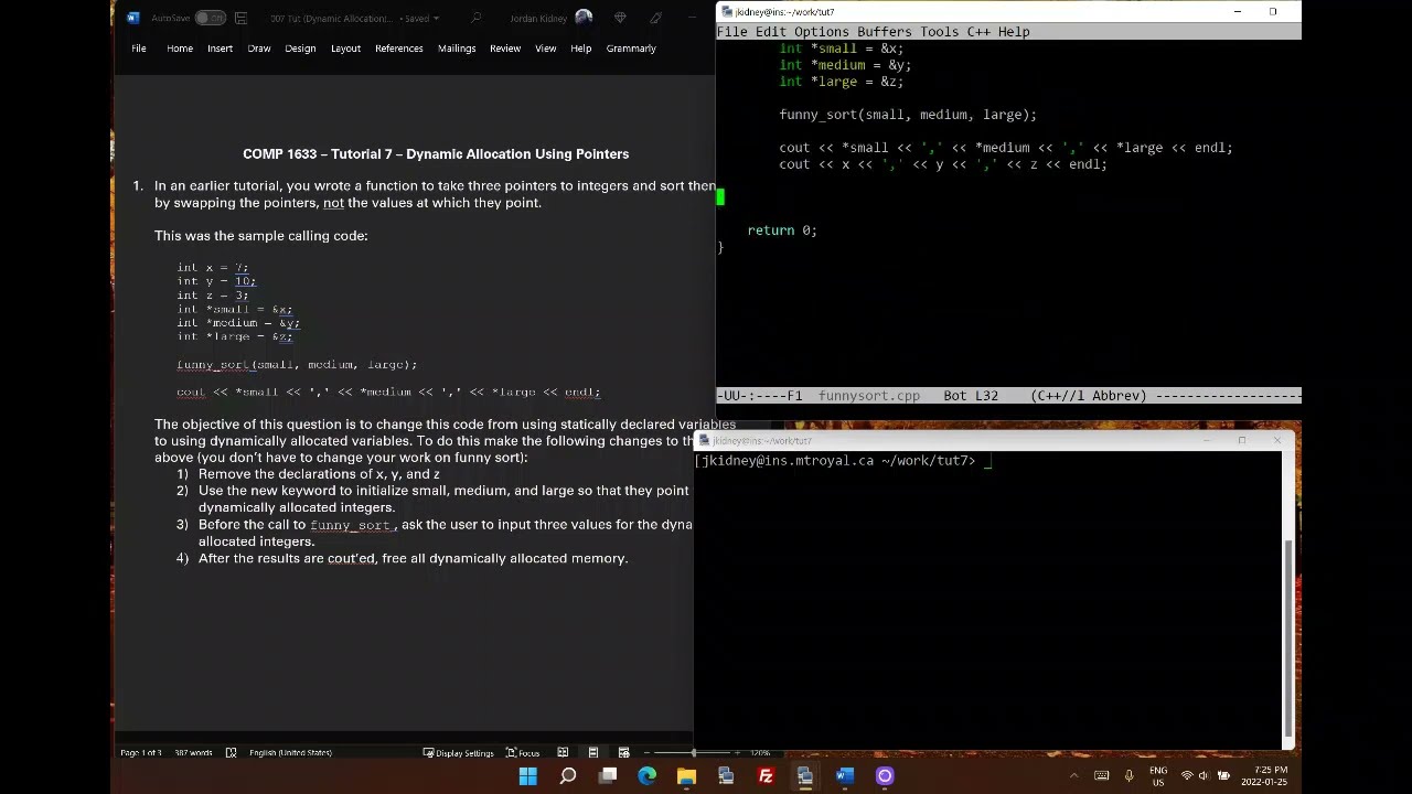 COMP 1633 - Tutorial 7 - Dynamic Allocation