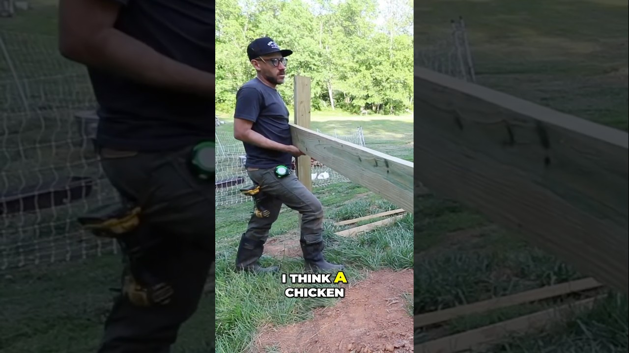 Why a Chicken Coop is Your Best DIY Project