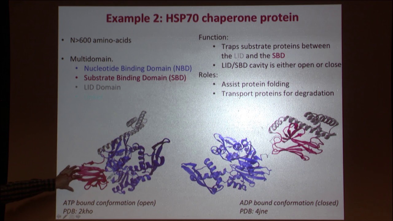 Modeling Proteins: From Sequences to Structure and Fitness- Remi Monasson