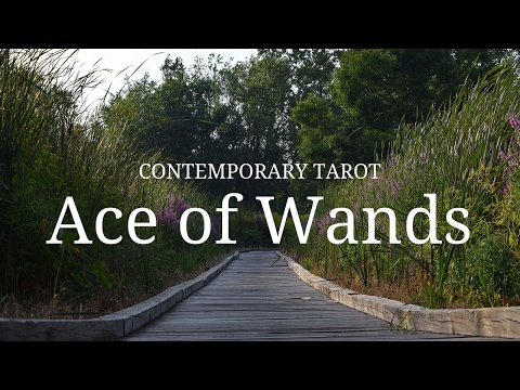 Ace of Wands: Description in 3 Minutes